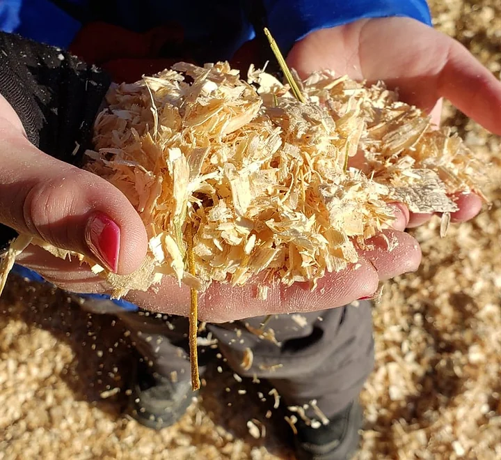 Leis Wood Shavings – Temiskaming Shores, Ontario, Canada, animal bedding